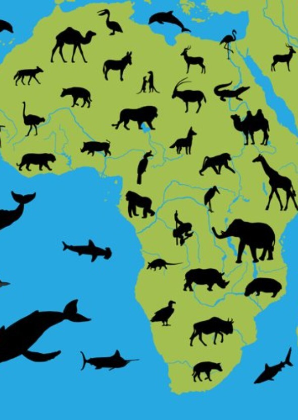 Leopard Fan Casting for Africa | myCast - Fan Casting Your Favorite Stories