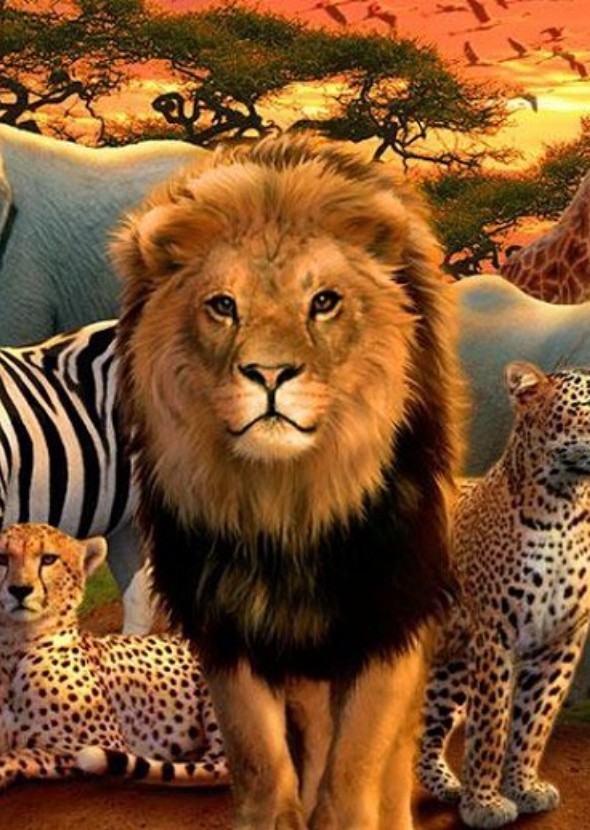 African animals the series Fan Casting on myCast