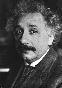 Albert Fan Casting on myCast