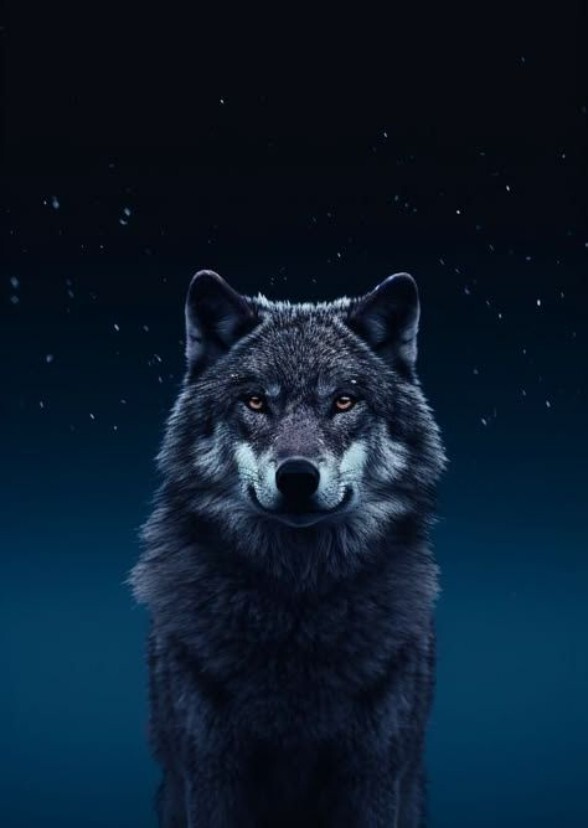 Alpha Wolf Fan Casting on myCast