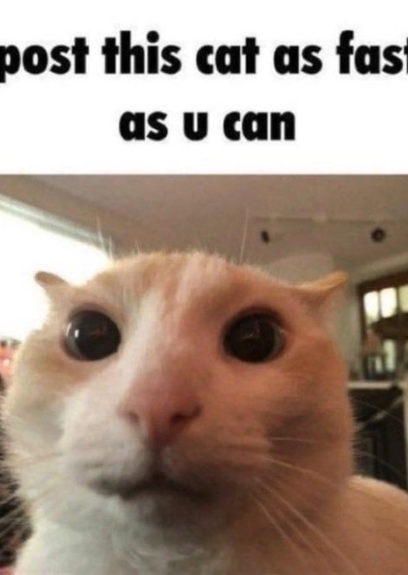 Ambatukam in Vietnam Fan Casting on myCast