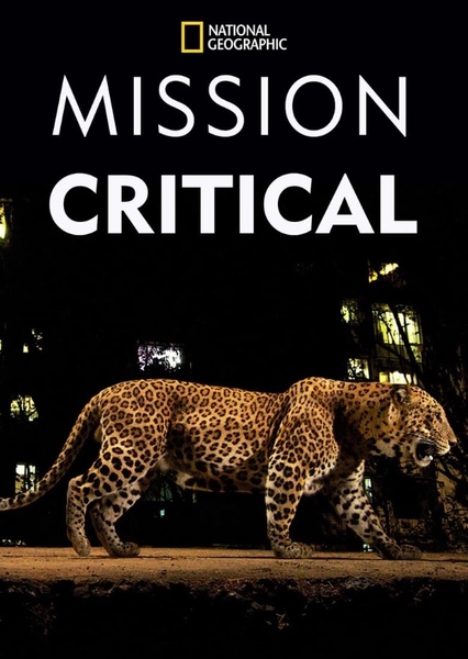 Transformers Cinematic Universe Rewrite Phases 4-6 Fan Casting on myCast