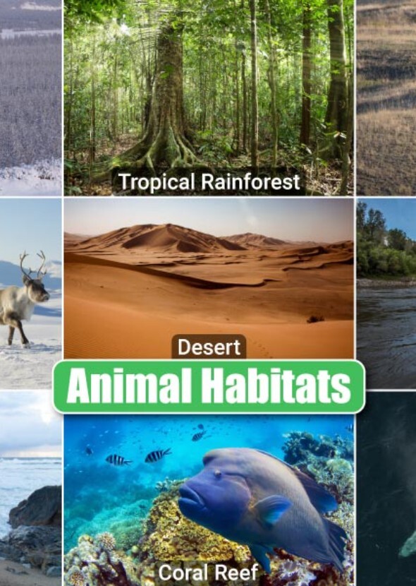 Animals in Different Environments Fan Casting on myCast