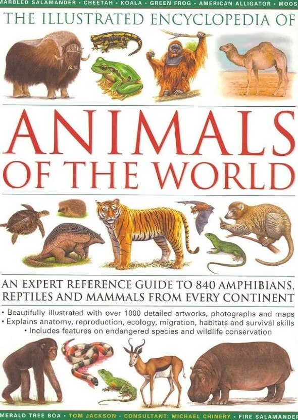 Animals of the World (PBS Nature Series) Fan Casting on myCast