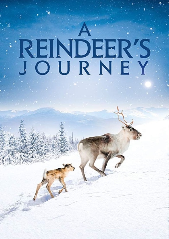Fan Casting The Wild Robot as Animation Style of Animated Reindeer ...