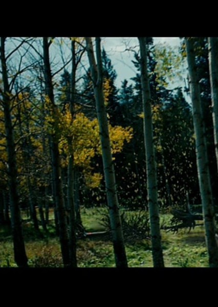 Rosalind Cash on myCast - Fan Casting Your Favorite Stories