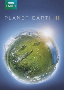 Shinaryen Fan Casting