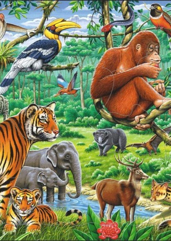 Asia Fan Casting on myCast