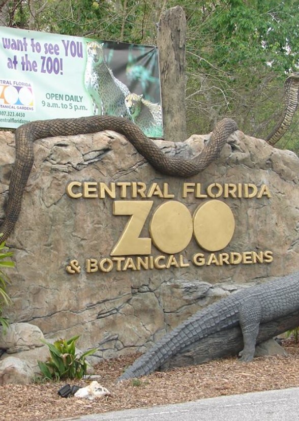 Find an Actor to Play Penny And Friends in Avyanatorres Characters And ...