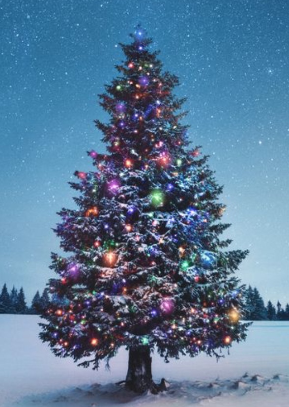 Bad Seeds: Christmas Rewind Fan Casting on myCast