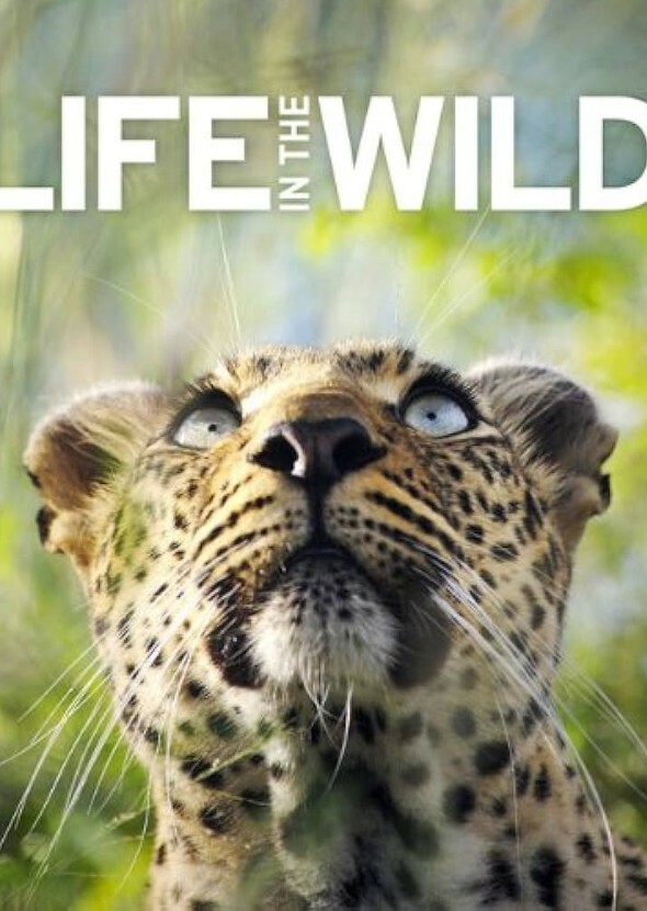 BBC Earth: Life in the Wild Fan Casting on myCast