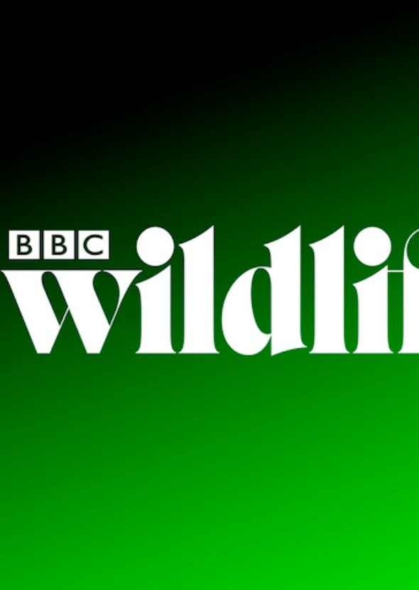 BBC Wildlife Fan Casting on myCast