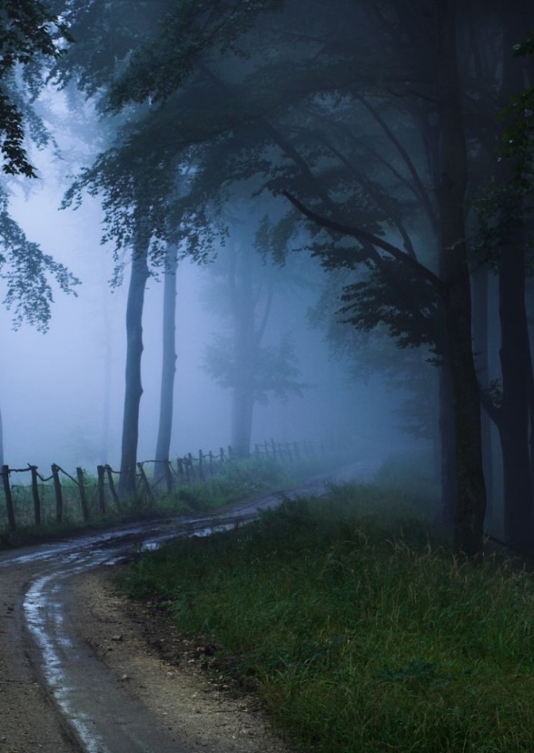 Beware Of Monster In The Woods Fan Casting On Mycast