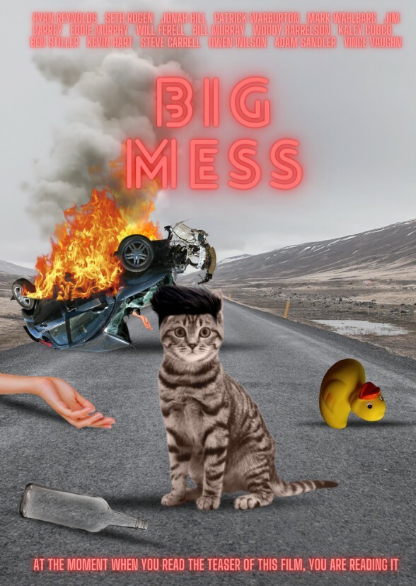Big Mess Fan Casting on myCast