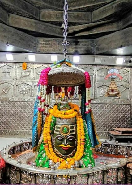 Miba Fan Casting for Godzilla 3000 | myCast - Fan Casting Your Favorite ...