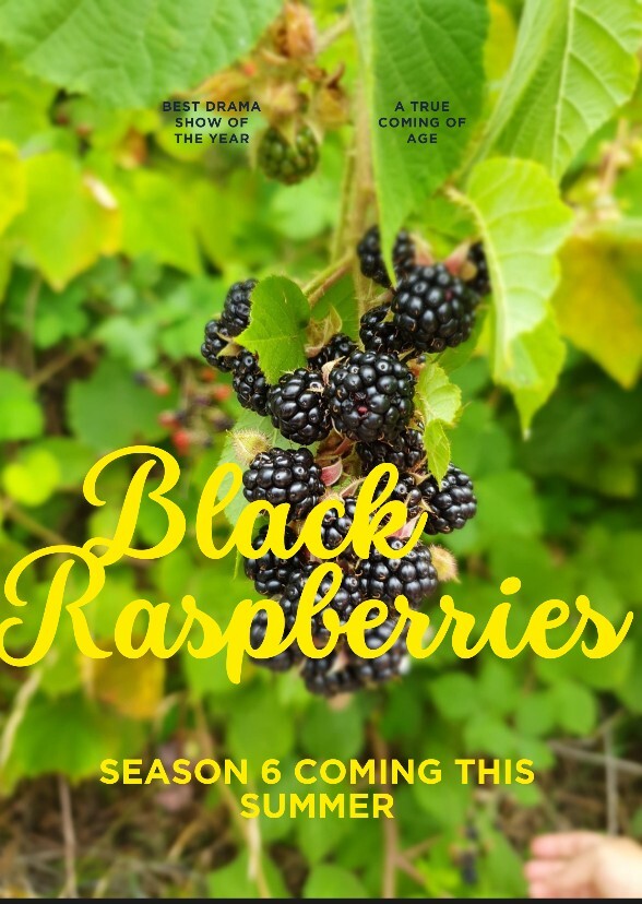 Black Raspberries Fan Casting on myCast