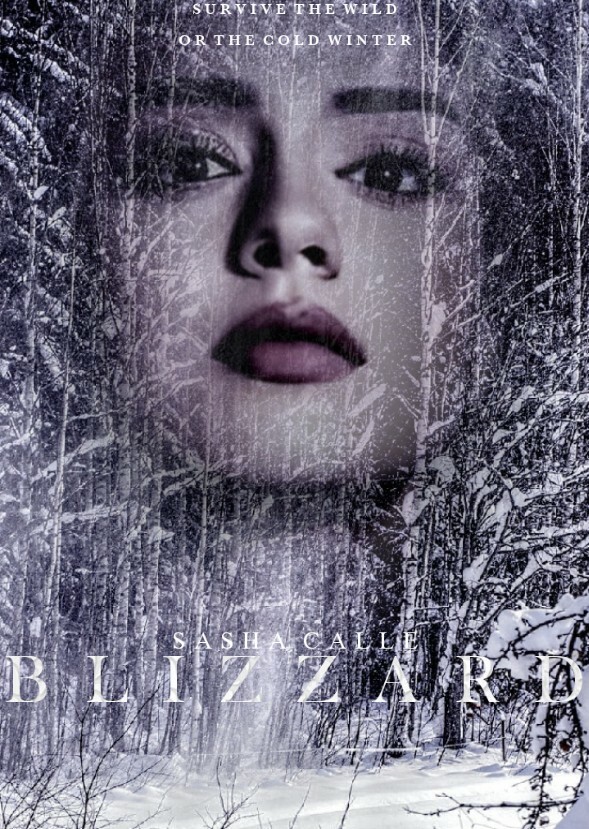 Blizzard Fan Casting on myCast