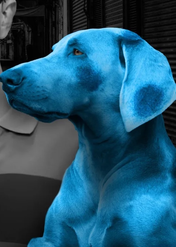 Steve Fan Casting for Blue’s Clue’s (2026) | myCast - Fan Casting Your Favorite Stories