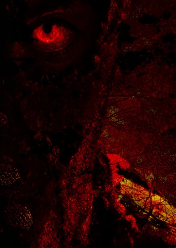 Brightburn 2 Fan Casting on myCast