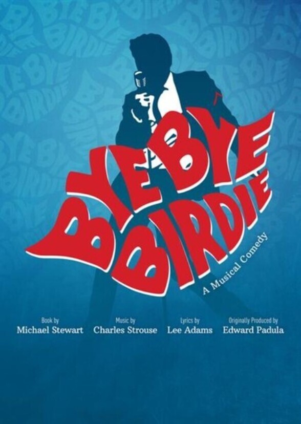 Mr. Henkel Fan Casting for Bye Bye Birdie (Broadway Revival) | myCast ...