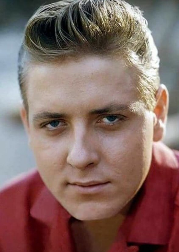 C'mon Everybody: The Eddie Cochran Story Fan Casting on myCast