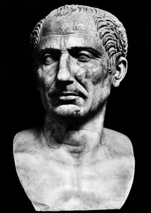 Tom Weston-Jones on myCast - Fan Casting Your Favorite Stories