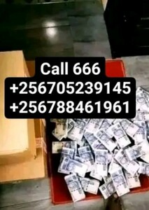 Number lore Fan Casting on myCast