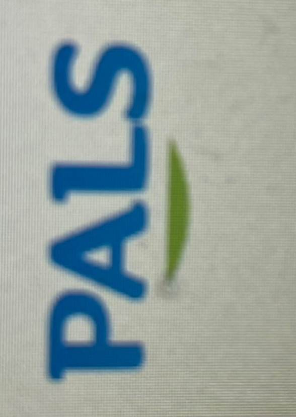 Find an Actor to Play Stefan Slowinski in Camp Pals 2023 on myCast