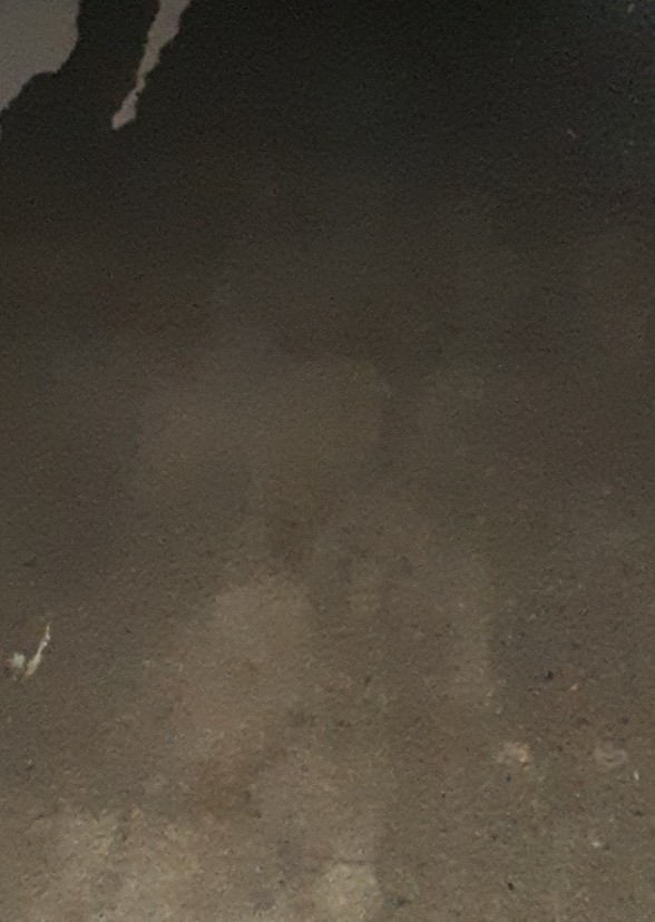 Captain Shadow Fan Casting on myCast