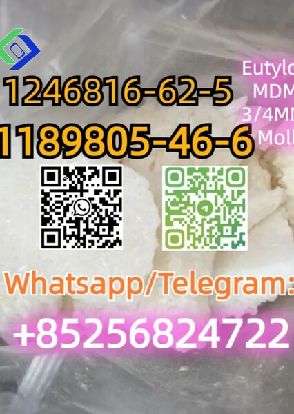 BIG cast Fan Casting on myCast