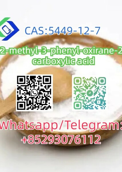 Find an Actor to Play Phoebe Terese in The Magic School Bus on myCast