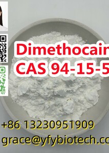 Barbie The Musical Fan Casting on myCast