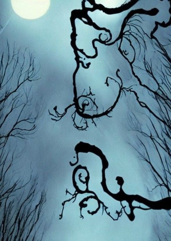 CATCF Fan Casting on myCast