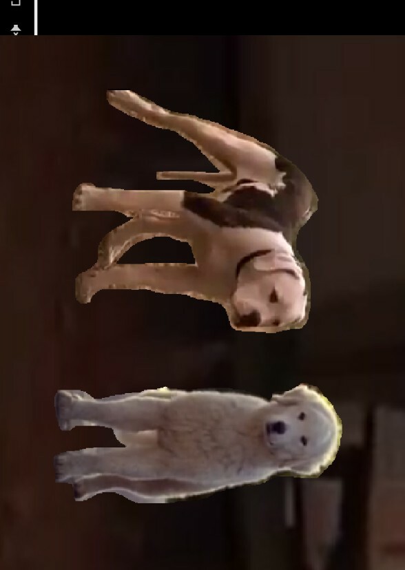 Chance Delilah Sassy & Shadow's Homeward Bound The Incredible Journey ...