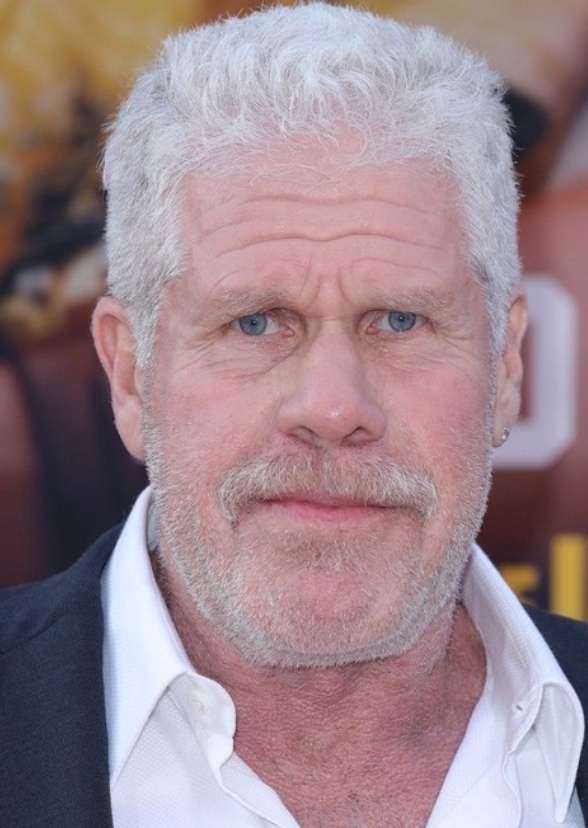 Character Ideas for Ron Perlman to play Fan Casting on myCast