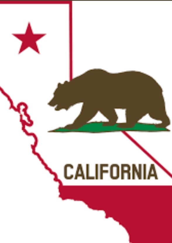 Fan Casting Renée Honda as Malibu in Characters from California on myCast