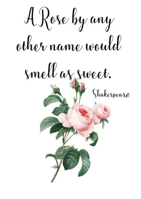 Brandon Fan Casting for Characters Sorted By Name (My Version) | myCast ...