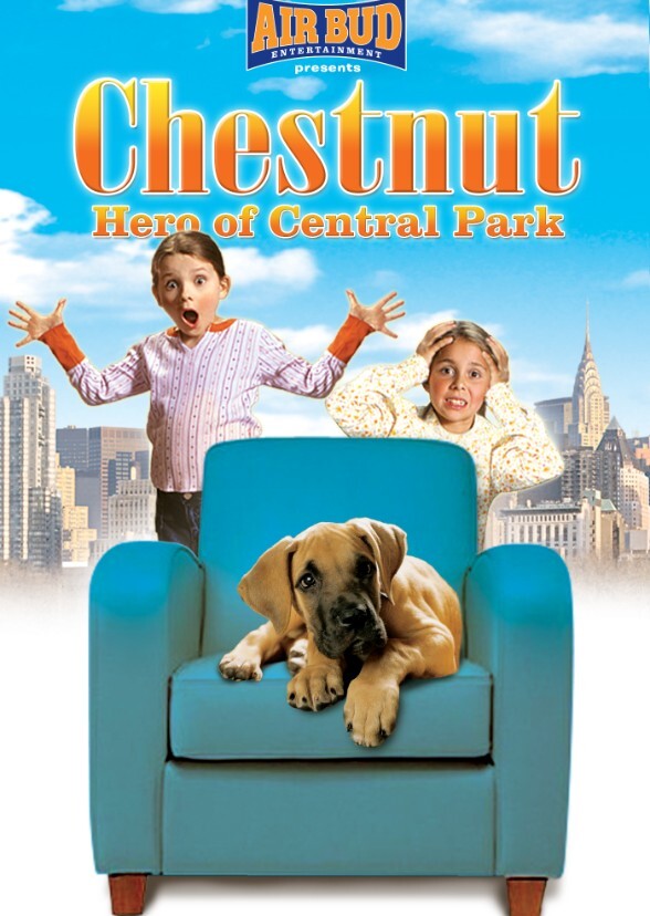 Reporter Fan Casting for Chestnut: Hero of Central Park | myCast - Fan ...