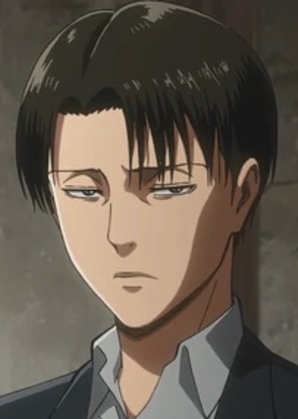 Choices for Levi Ackerman Fan Casting on myCast