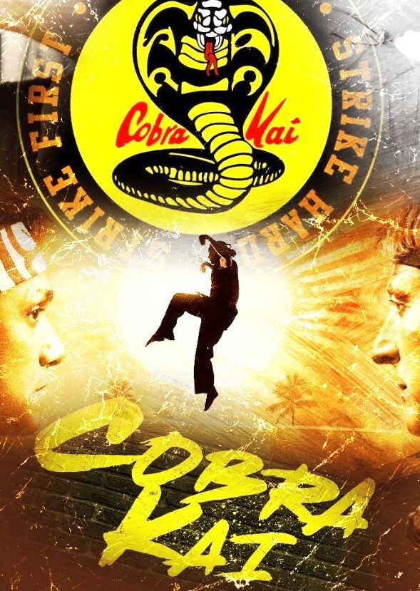 Cassian Drake Fan Casting for Cobra kai Rise of The Takai (2027 ...