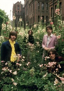 Fan Casting Charlie Rowe as George Harrison in Come Together on myCast