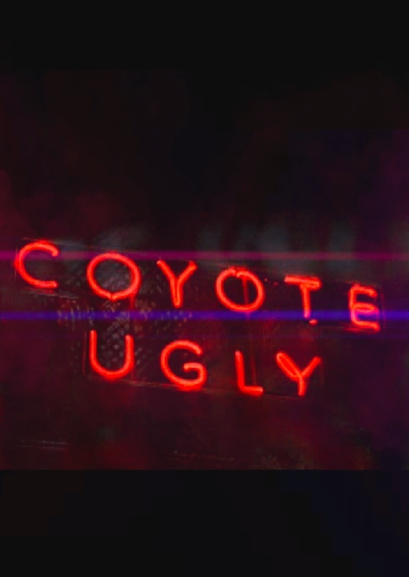 Coyote Ugly Fan Casting on myCast