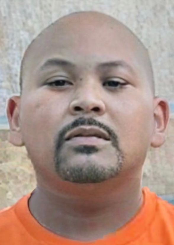 Delmacoverse Fan Casting on myCast