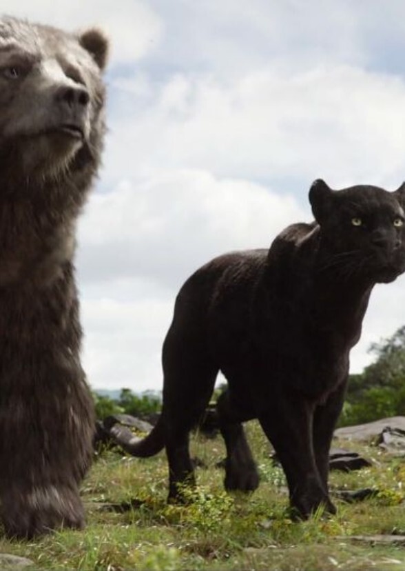 Disney's The Jungle Book: Part 2 Fan Casting on myCast