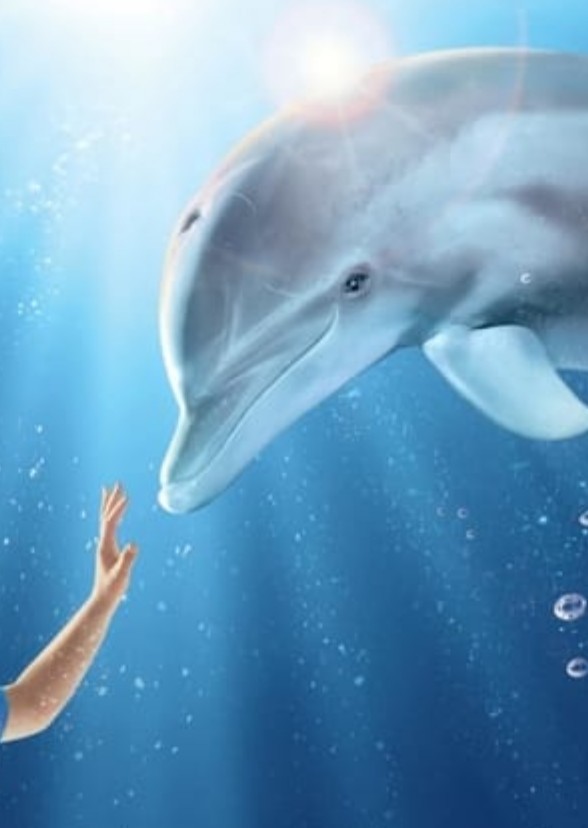 Dolphinarium Fan Casting on myCast