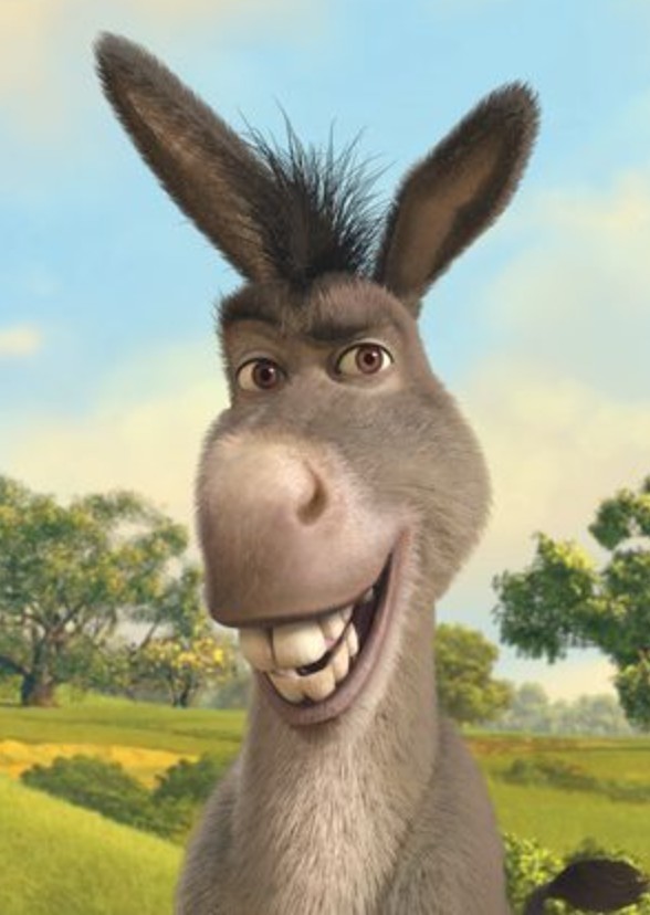 Donkey: The Movie Fan Casting on myCast