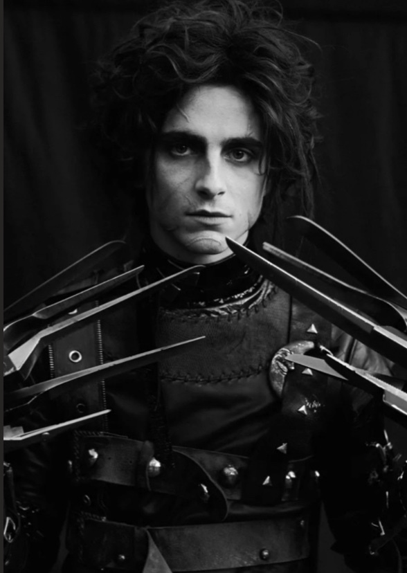 Kevin Boggs Fan Casting for Edward Scissorhands | myCast - Fan Casting ...