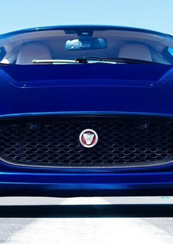 Main Vehicle Fan Casting for Elizabeth Olsen: Ferrari 812 That Look ...