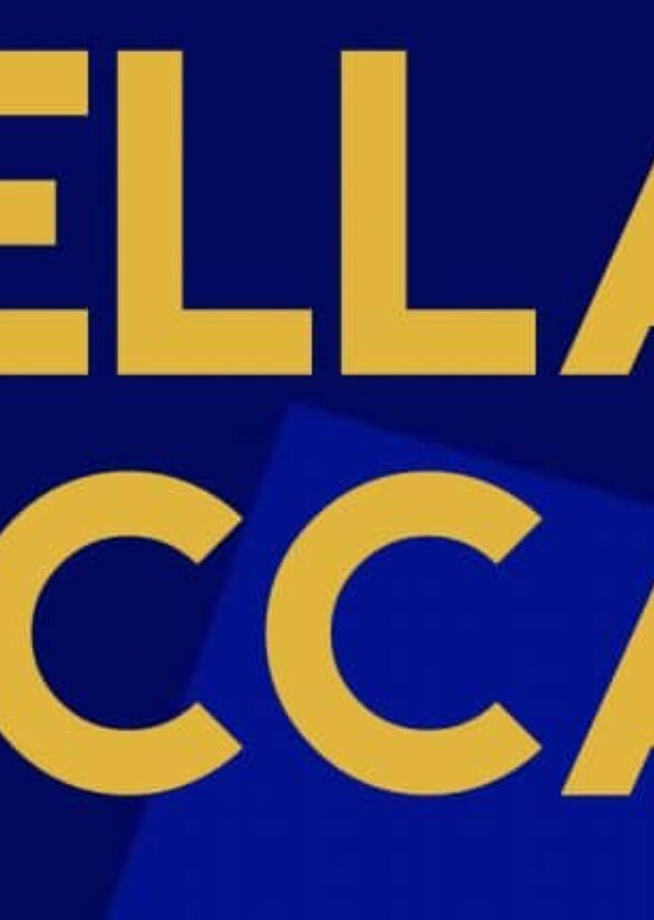 Ella McCay (2025) Fan Casting on myCast
