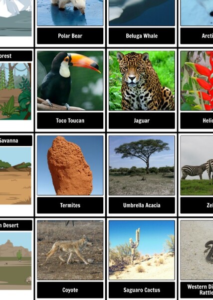 Environment Fan Casting on myCast